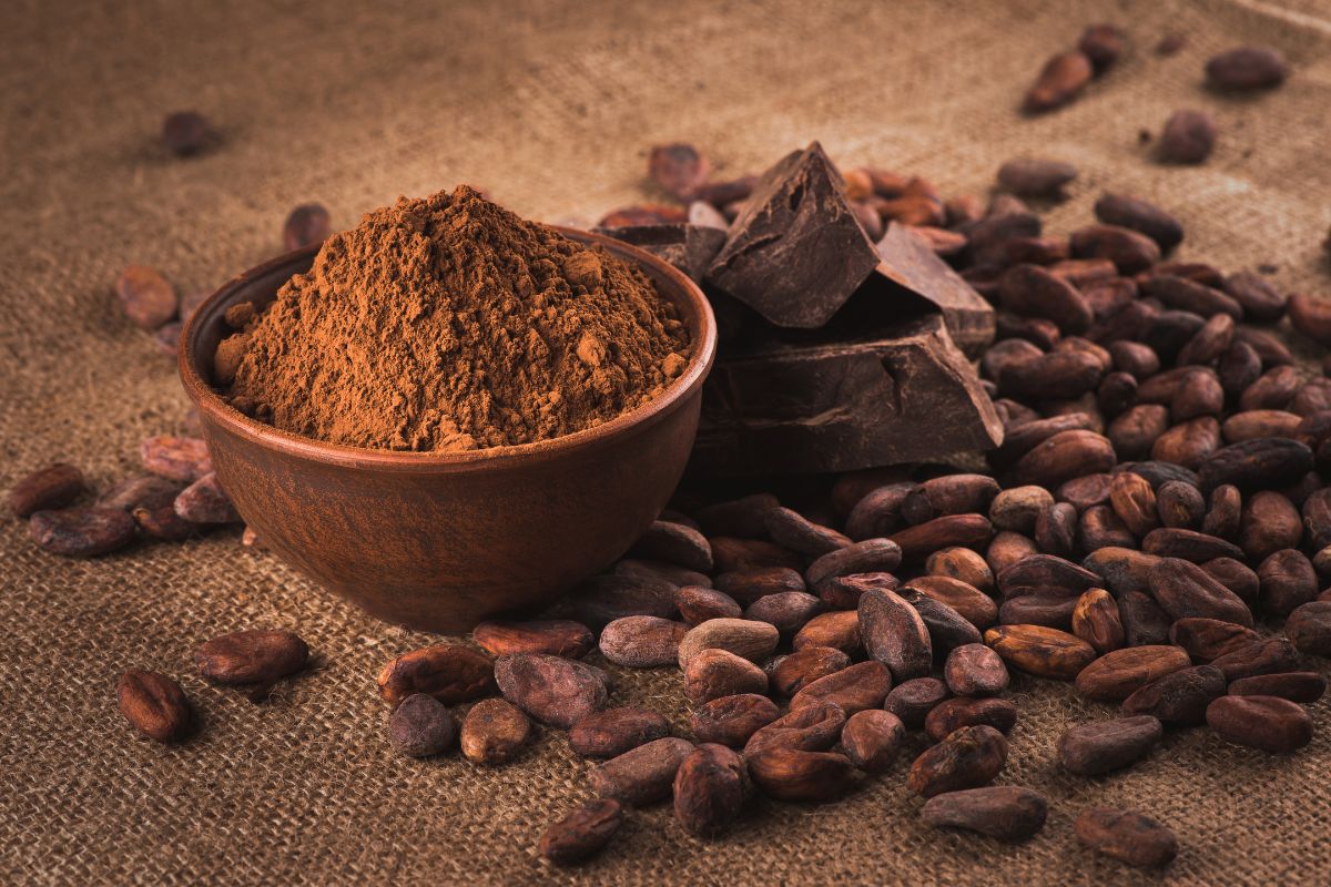 Our Products: Explore Quality Cocoa Powder - PT Internasional Niaga ...